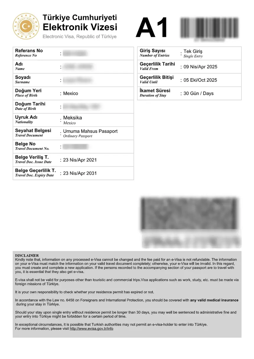 Turkey e-Visa - Apply for Visa to Turkey Online